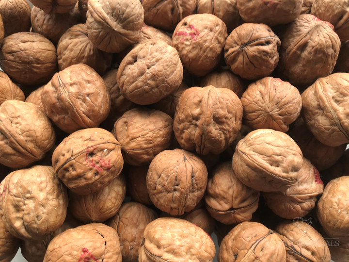 Diamond Californian Inshell walnuts 400 gram